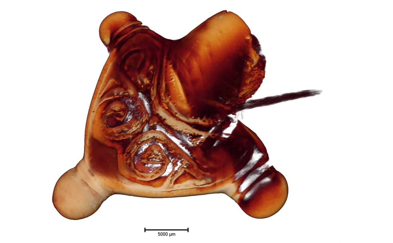 MATRIX applications - CEREGE