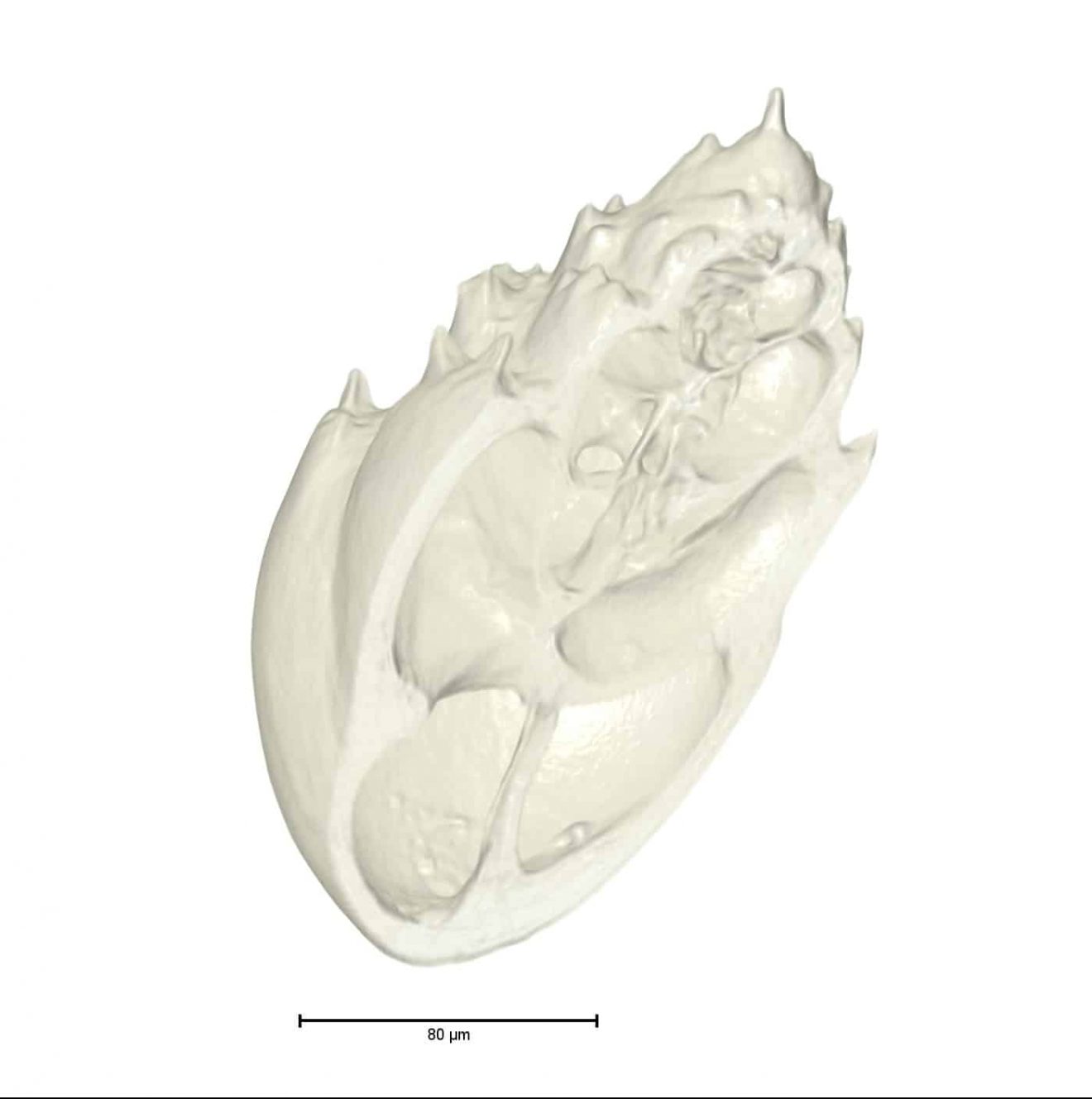 MATRIX applications - CEREGE