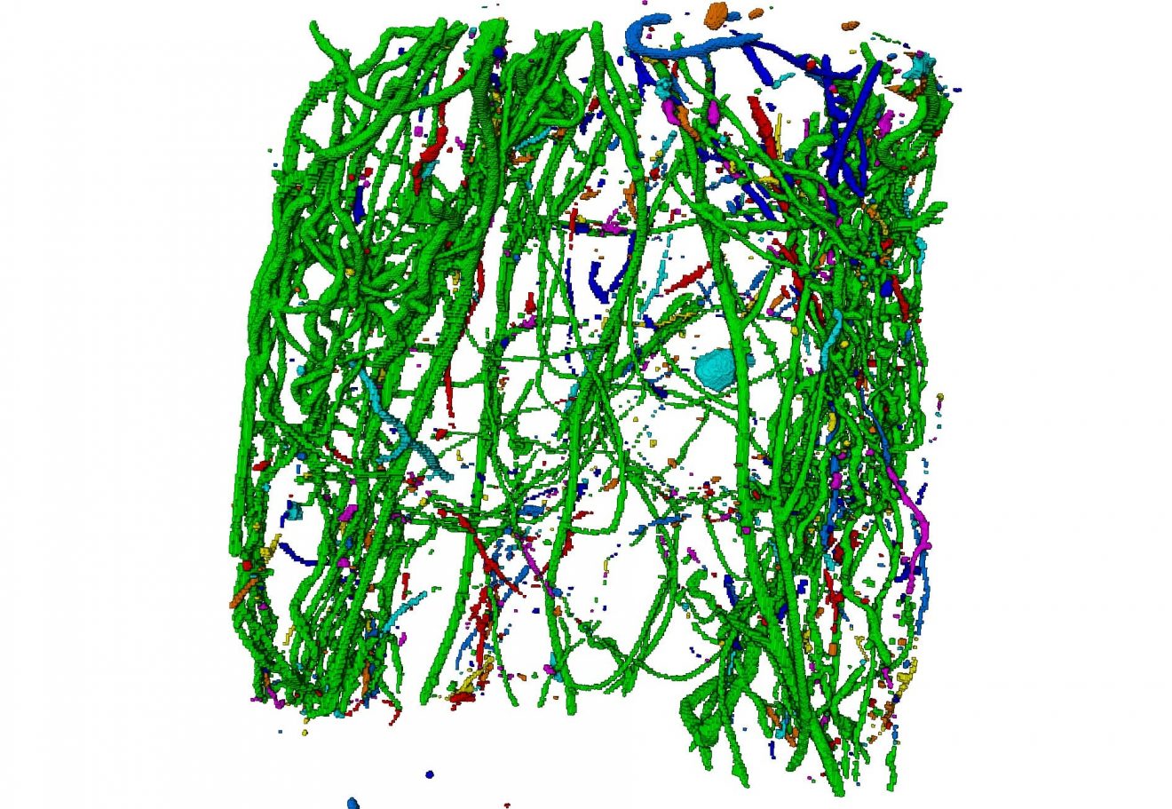 MATRIX applications - CEREGE