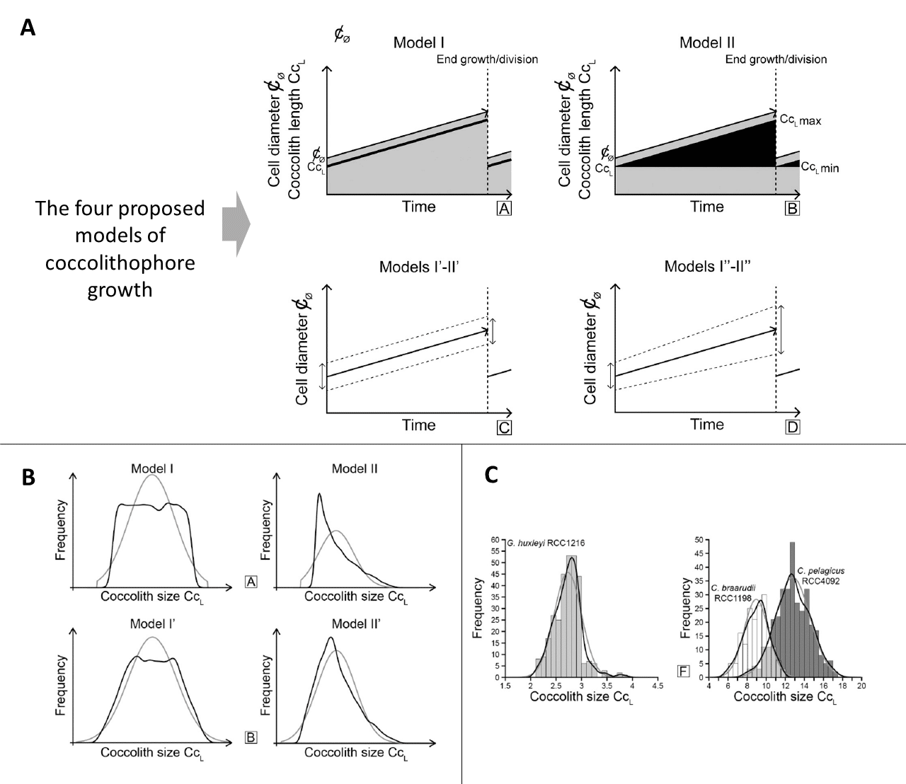 Geomodelling applications - CEREGE